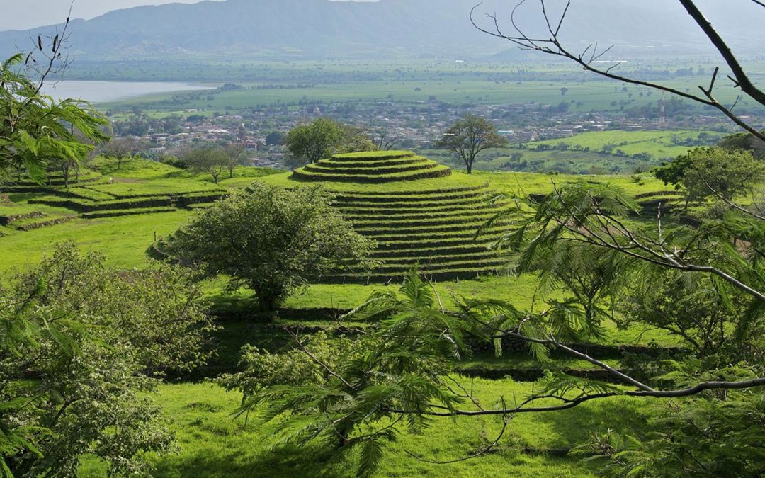 guachi - Plantas Sagradas en las Américas